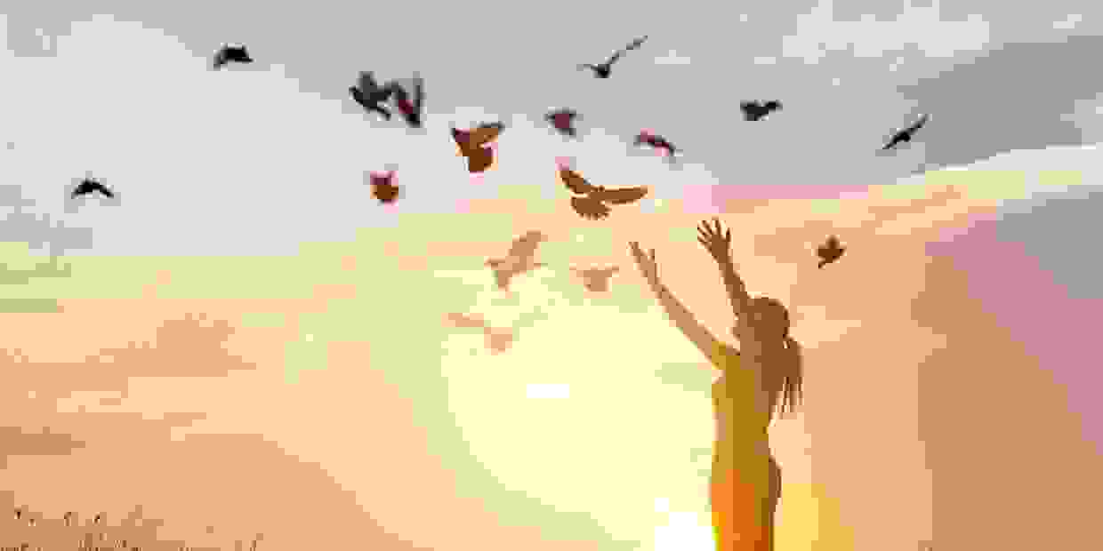 Who We Are | Sparrow Freedom Project