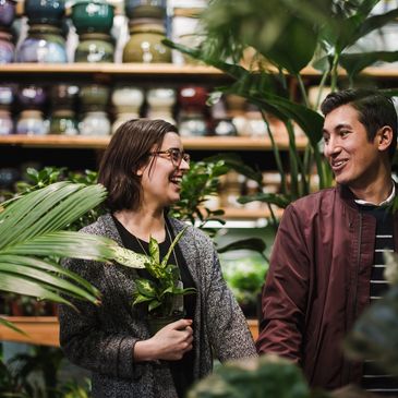 northern traders market llc