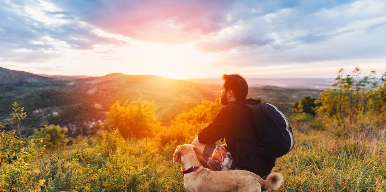 Veterinary Clinic - One Health Veterinary