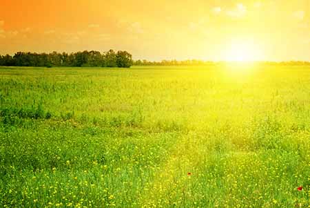 Laura Fial & "FRIENDS" MUSICAL ENTERTAINMENT - Music to Suit All Your ...