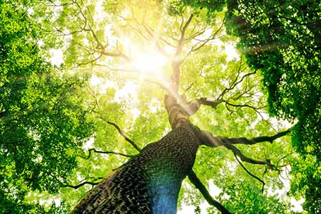 Laura Fial & "FRIENDS" MUSICAL ENTERTAINMENT - Music to Suit All Your ...